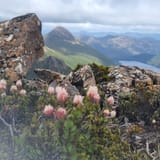 Mount Anne Circuit, Tasmania, Australia - 12 Reviews, Map | AllTrails