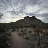 Picketpost Loop via Arizona Trail and L.O.S.T Trail, Arizona - 1,364 Reviews, Map | AllTrails