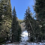 Grotto Falls Trail, Montana - 822 Reviews, Map | AllTrails