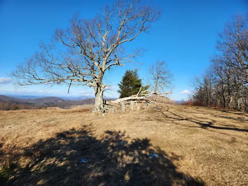 Best Hikes and Trails in Floyd | AllTrails