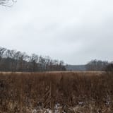 Waterloo-Pinckney Trail, Michigan - 497 Reviews, Map | AllTrails