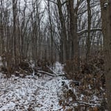 Waterloo-Pinckney Trail, Michigan - 497 Reviews, Map | AllTrails