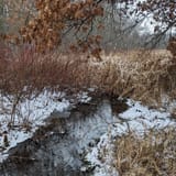 Waterloo-Pinckney Trail, Michigan - 497 Reviews, Map | AllTrails