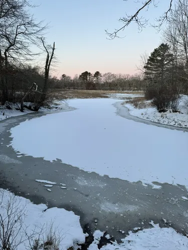 Best Hikes and Trails in Calverton Ponds Preserve | AllTrails