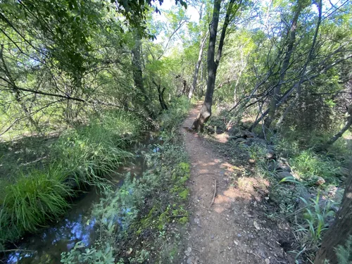 Best Hikes and Trails in B'sorah Trails | AllTrails
