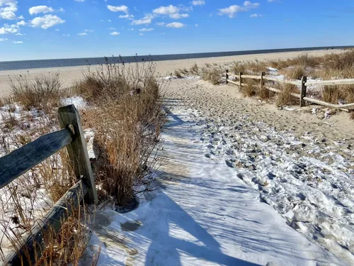 Best Hikes and Trails in Cape May Point State Park | AllTrails