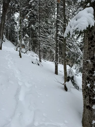 Best Hikes and Trails in Poisson Blanc Regional Park | AllTrails