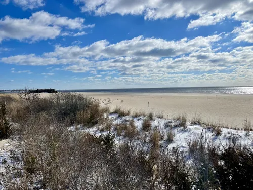 Best Hikes and Trails in Cape May Point State Park | AllTrails