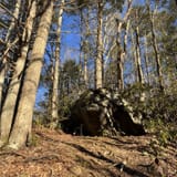 Peg Leg Mine Trail, Tennessee - 165 Reviews, Map | AllTrails