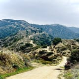 Beaudry Loop, California - 4,850 Reviews, Map | AllTrails