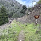 Merced River Trail, California - 186 Reviews, Map | AllTrails