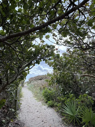 Best Hikes and Trails in Blowing Rocks Nature Preserve | AllTrails