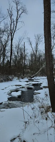 Best Hikes and Trails in Lowe-Volk Park | AllTrails