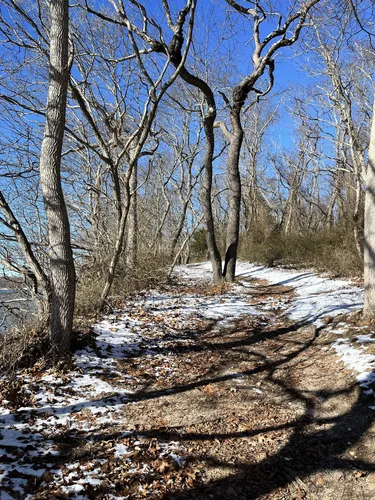 Best Hikes and Trails in Mashomack Preserve | AllTrails