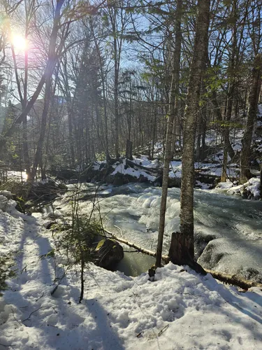 Best Hikes and Trails in Parc de la forêt ancienne du Mont Wright ...