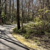 Blue Run Trail, Florida - 463 Reviews, Map | AllTrails