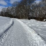 Crahen Valley Park Loop, Michigan - 1,318 Reviews, Map | AllTrails