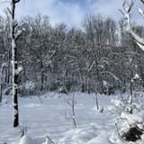 Crahen Valley Park Loop, Michigan - 1,318 Reviews, Map | AllTrails