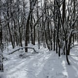 Crahen Valley Park Loop, Michigan - 1,318 Reviews, Map | AllTrails