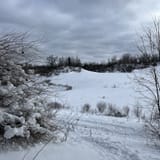 Crahen Valley Park Loop, Michigan - 1,318 Reviews, Map | AllTrails