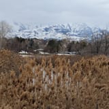 Jordan River Parkway Trail, Utah - 826 Reviews, Map | AllTrails