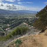 Shelf Road Trail, California - 983 Reviews, Map | AllTrails
