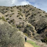 Shelf Road Trail, California - 983 Reviews, Map | AllTrails