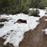Halls Ranch and Fiddle Creek Ridge Trail, California - 12 Reviews, Map ...