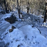 Great Blue Hill via Skyline Trail, Massachusetts - 7,763 Reviews, Map ...