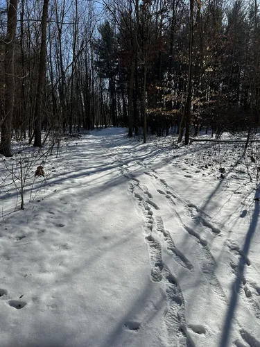 Best Hikes and Trails in Fernald Preserve | AllTrails