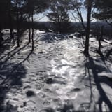 Giuffrida Park Loop, Connecticut - 1,627 Reviews, Map | AllTrails