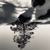 Giuffrida Park Loop, Connecticut - 1,627 Reviews, Map | AllTrails