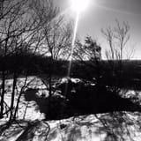 Giuffrida Park Loop, Connecticut - 1,627 Reviews, Map | AllTrails