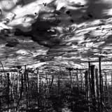 Giuffrida Park Loop, Connecticut - 1,627 Reviews, Map | AllTrails