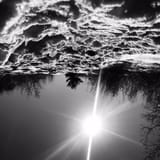 Giuffrida Park Loop, Connecticut - 1,627 Reviews, Map | AllTrails