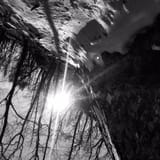 Giuffrida Park Loop, Connecticut - 1,627 Reviews, Map | AllTrails