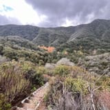 Murphy Ranch Trail, California - 3,555 Reviews, Map | AllTrails
