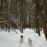 Gros Cap Loop, Michigan - 105 Reviews, Map | AllTrails