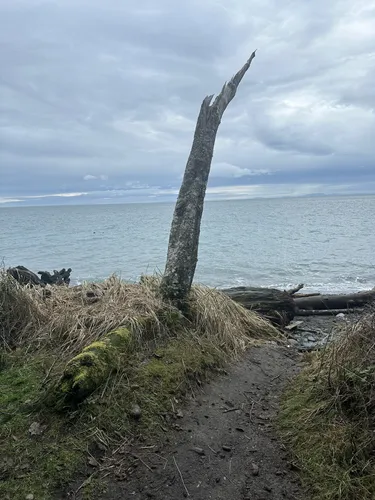 Best Hikes and Trails in Miller Peninsula State Park | AllTrails