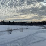 Crahen Valley Park Loop, Michigan - 1,318 Reviews, Map | AllTrails