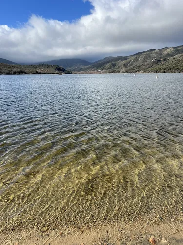 Best Bird Watching Trails in Silverwood Lake State Recreation Area ...