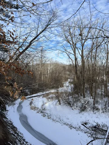 Best Hikes and Trails in Ellis Park | AllTrails