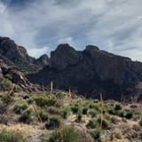 Soledad Canyon Loop, New Mexico - 1,256 Reviews, Map | AllTrails