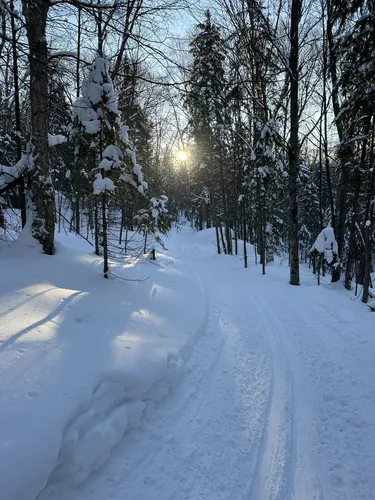 Best Rock Climbing Trails in Val-Morin | AllTrails