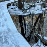 Cato's Ridge, Massachusetts - 476 Reviews, Map | AllTrails