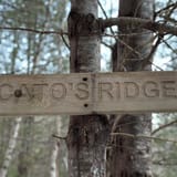 Cato's Ridge, Massachusetts - 476 Reviews, Map | AllTrails