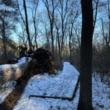 Cato's Ridge, Massachusetts - 474 Reviews, Map | AllTrails