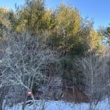 Cato's Ridge, Massachusetts - 476 Reviews, Map | AllTrails