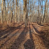 Turtle Back Rock Interpretive Trail, New Jersey - 152 Reviews, Map ...