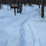 Wolf Rocks Trail, Pennsylvania - 1,272 Reviews, Map | AllTrails